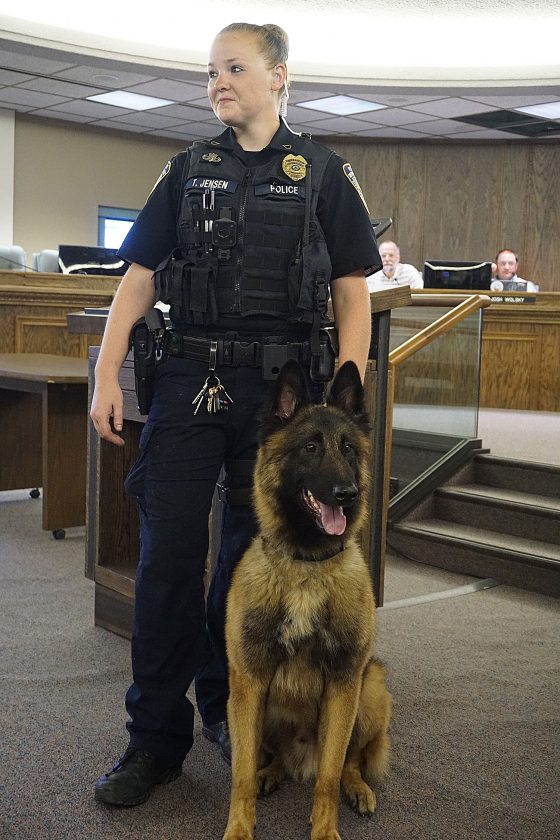 Ward County sheriff seeks community’s help to add K-9 to staff | News ...